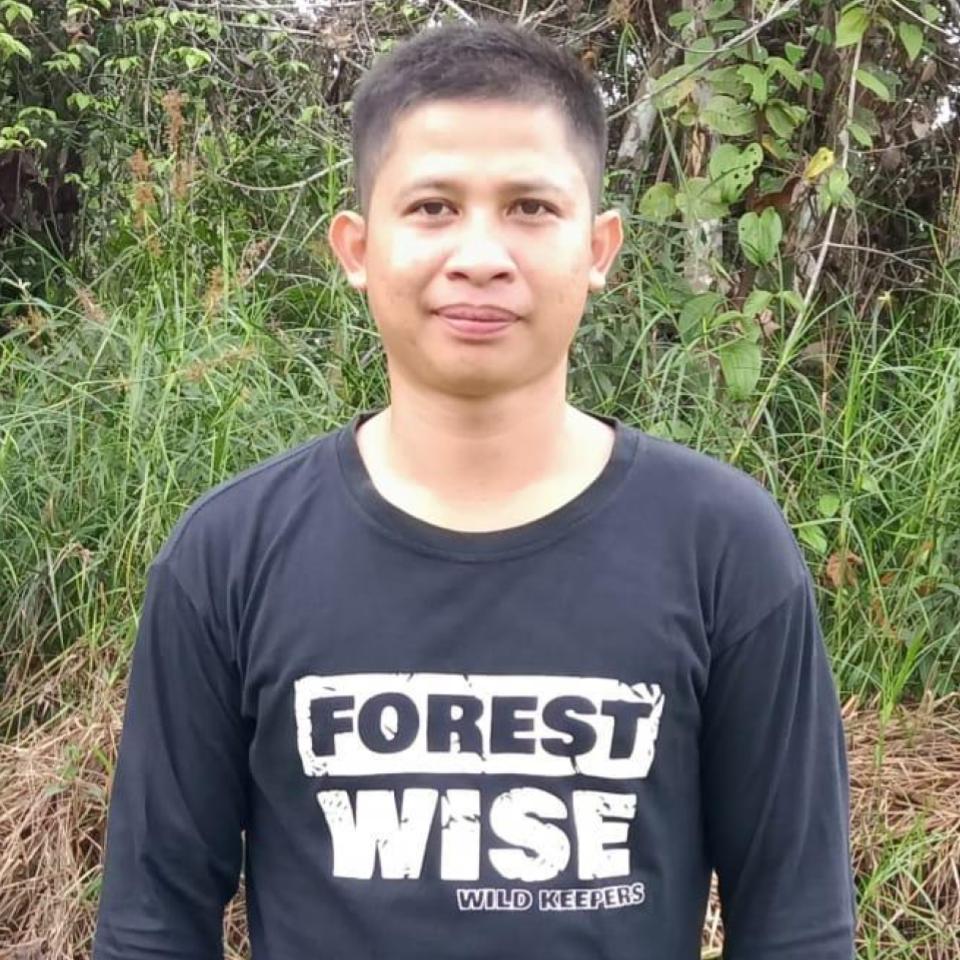 Forestwise - About us